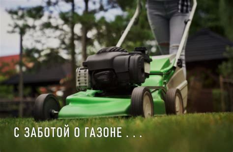 10 правил для создания роскошного газона АО «Фертика