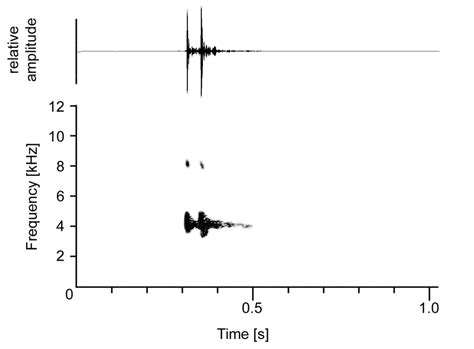Oscillogram And Sound Spectrogram Of An Advertisement Call Of