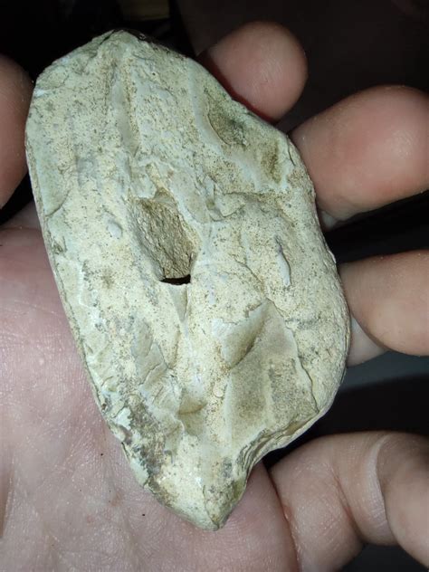Piece Of Mammalian Tooth Or Just A Rock Fossil Id The Fossil Forum