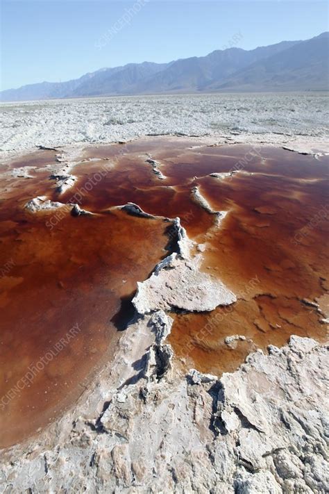 Owens Lake Usa Stock Image C009 9010 Science Photo Library