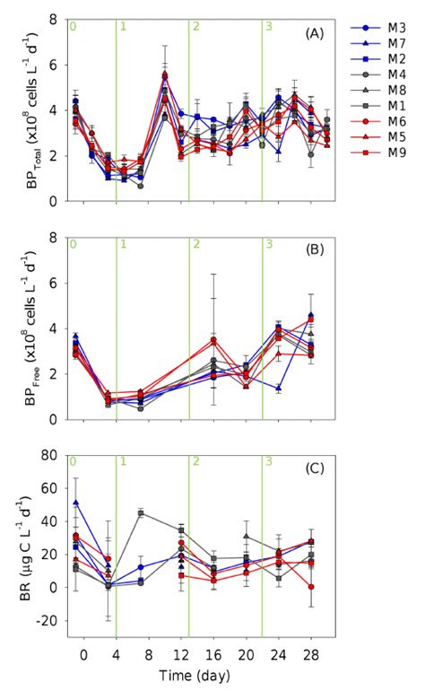 Temporal Variation Of Bacterial Production Estimated By Tdr Download