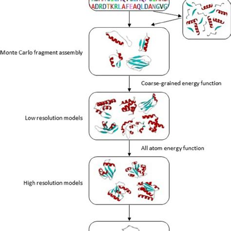 General Workflow Of I Tasser For Protein Structure Prediction 30 Download Scientific Diagram