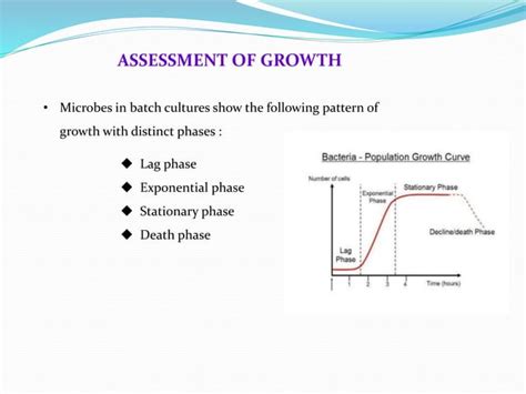 Microbial Growth Batch Culture Pptx