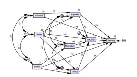 Materialistic Values Health And Wellbeing The Role Of Self Compassion