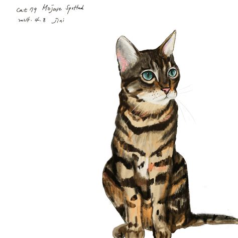 일흔아홉 번째 고양이