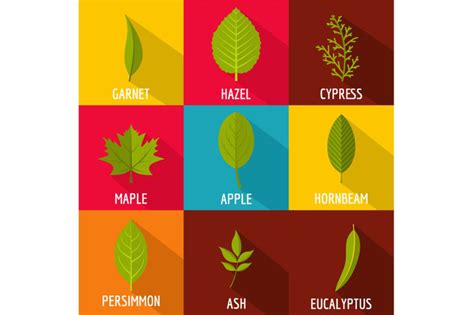 Part Of The Tree Icons Set Flat Style By Anatolir TheHungryJPEG