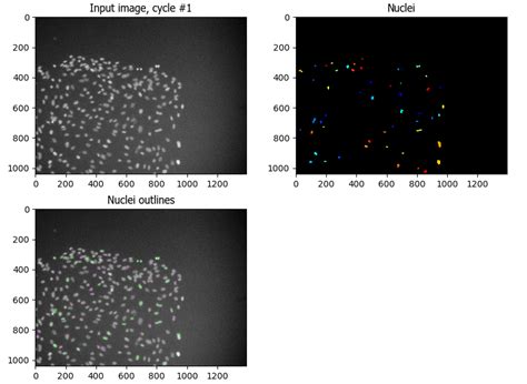 Cellprofiler Not Identifying Some Images Taken In Same Imaging Session Usage And Issues Image