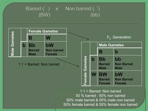 Sex Linked Inheritance Sex Influence Inheritance And Sex Limited Characters PPTX Sex Linked Inheritance Sex Influence Inheritance And Sex Limited Characters PPTX