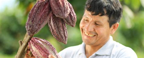 Sustainable Cocoa Kakaoplattform