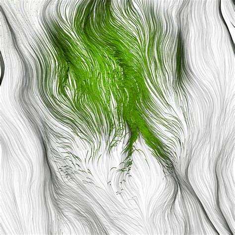 Noise Paintings Behance