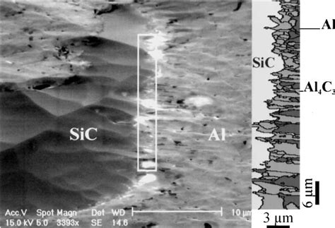 Sem Micrograph Captured Under A Tilt Angle Of 70 On The Right Side