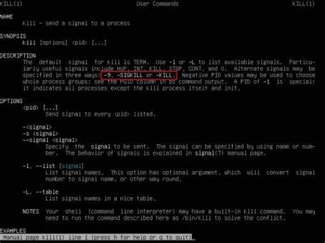 Matar Procesos En Linux El Taller Del Bit
