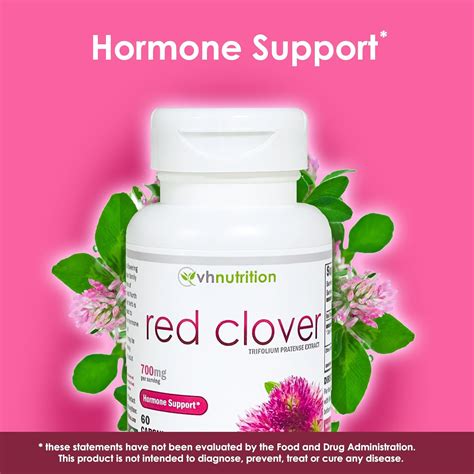 Vh Nutrition Red Clover Capsules 700 Mg Trifolium Nepal Ubuy