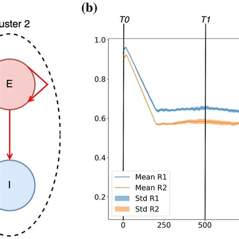 A Schematic Diagram Representing The Connectivity Matrix Emerging