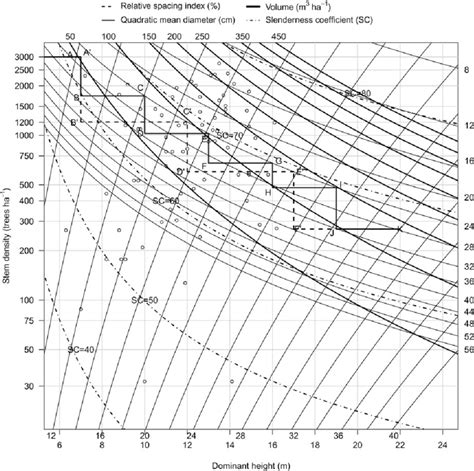 Examples For Two Different Thinning Schedules In Chinese Fir
