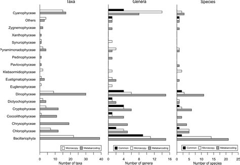 Metabarcoding Vs Microscopy Comparison Of Methods To Monitor Phytoplankton Communities Acs Es