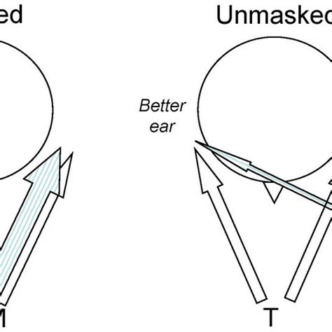 the virtual auditory space vas listening paradigm is illustrated