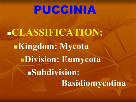 Ppt Classification Kingdom Mycota Division Eumycota Subdivision Basidiomycotina Powerpoint