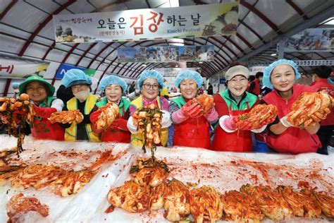 김장과 여행을 한 번에 평창김장축제 11월3일 개막 네이트 뉴스