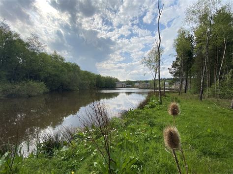 Discover The Charles Darwin Connection Darwin Lake