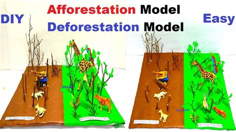 Afforestation And Deforestation Model Science Exhibition Diy Step