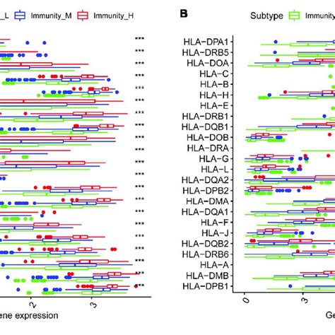The Correlation Between Hla Related Genes And Immune Groups A Download Scientific Diagram