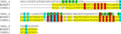Multiple Alignment Of The B Lectin Domain Sequence Of Predicted Wsmbp1