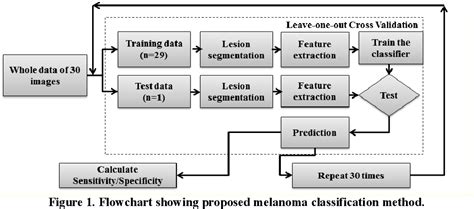 Figure 1 From Effect Of Lesion Segmentation In Melanoma Diagnosis For A Mobile Health
