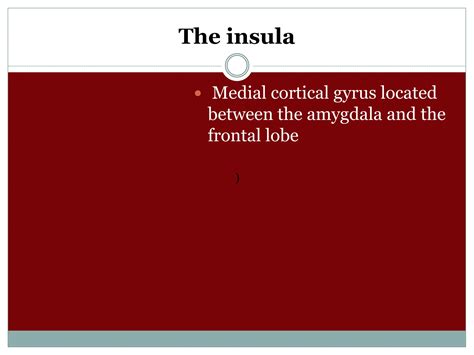 Limbicsystem PptThe Limbic System Is A Group Of Interconnected Brain Structures That Help