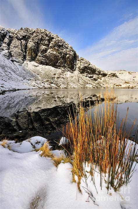 Tufted Grasses At Stickle Tarn Photograph By Jason Connolly Fine Art