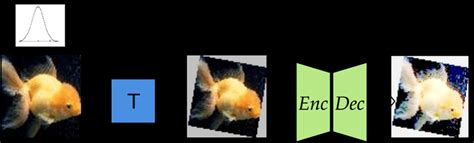 automatic data augmentation approaches a sequence of predefined