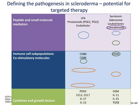 The State Of Scleroderma Clinical Trials Pptx