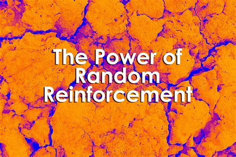 The Power Of Random Reinforcement — University Xp