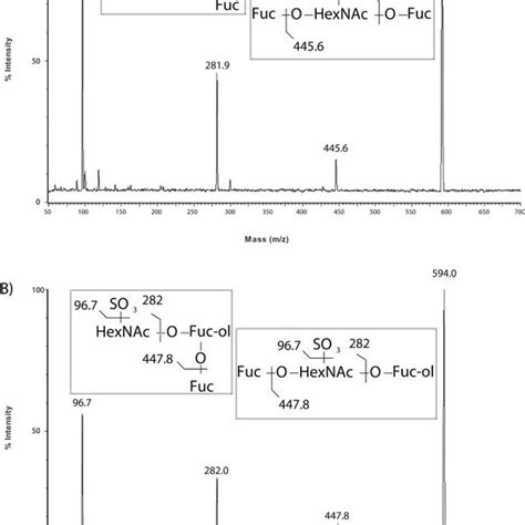 Ei Ms Fragmentation Pattern Of Reduced Permethylated Compound J From Download Scientific