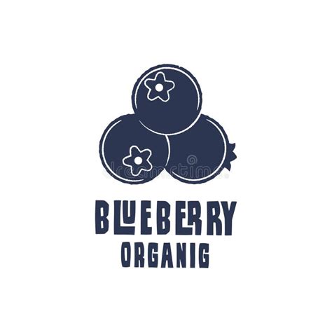 Blueberry Organic Logo Stock Illustration Illustration Of Identity