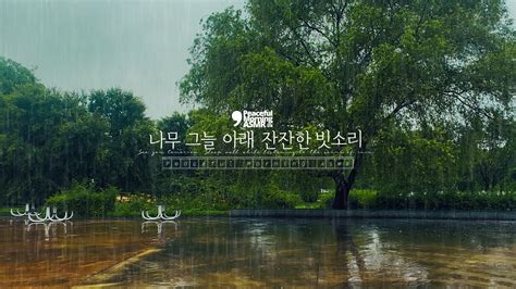 마음을 평온하게 만들어주는 잔잔한 빗소리 백색소음 Youtube