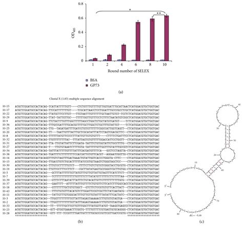 Screening And Identification Of Ssdna Aptamer For Human Gp73 Pmc