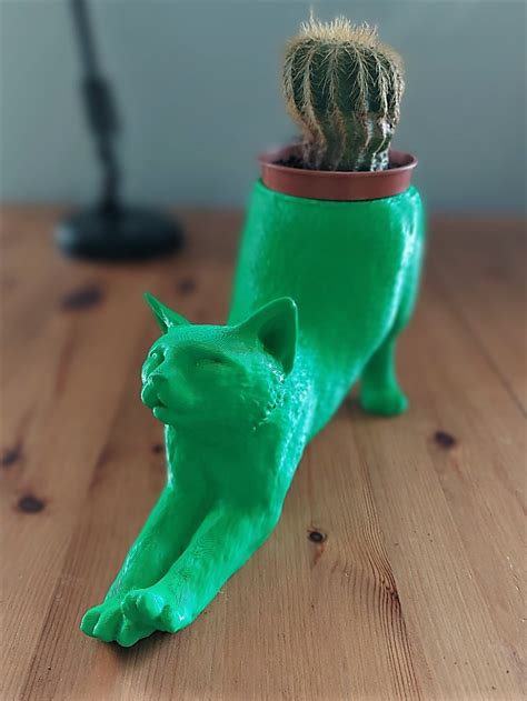 Streching Cat Cactus Pot By Moodyswing Download Free Stl Model