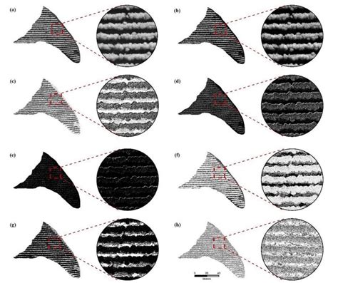 glcm based texture variables mean a variance b homogeneity c