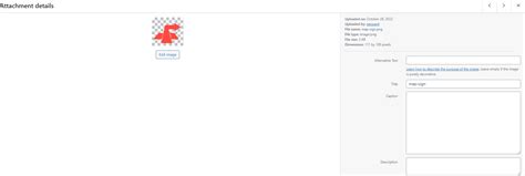Making Caption Textfield Bigger Wordpress Media Library Editing Sinan