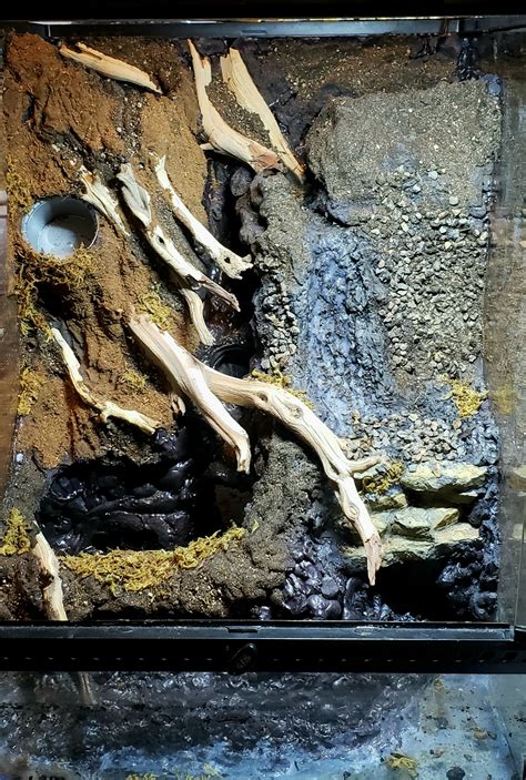 Background Almost Done Enclosures And Setups Morphmarket Reptile Community