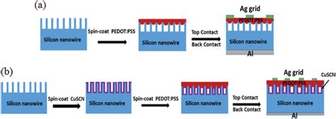 Schematics Of The Fabrication Processes Of A Alsinwpedotpssag And