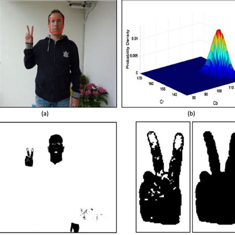 A Face Detection B Skin Color Model Distribution C Inverted Binary