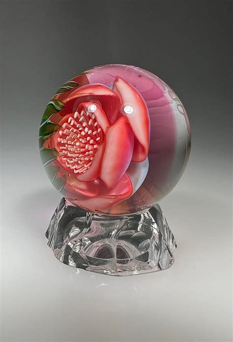 Fumey Fern Jared Delong