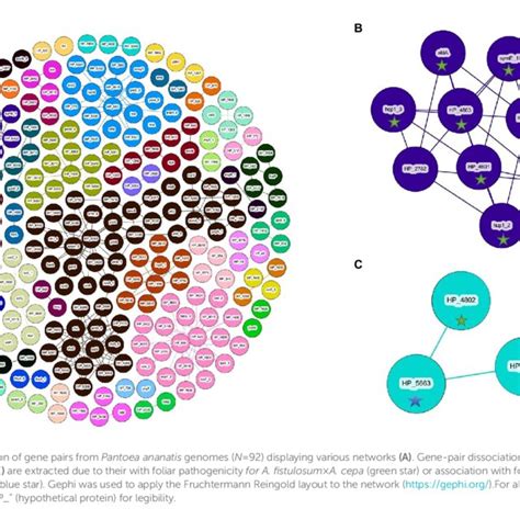 Phylogenetic Tree Based On Core Single Nucleotide Polymorphism Snp Download Scientific