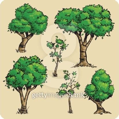 Six Sexy Trees 이미지 149721786 게티이미지뱅크