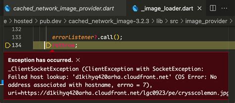Flutter Prevent CachedNetworkImageProvider Throwing When It Cannot Fetch The OR How