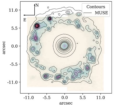 Physical Properties Of Circumnuclear Ionising Clusters Iii Kinematics Of Gas And Stars In Ngc