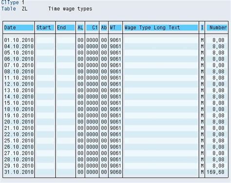 SAP Wage Types Tutorial Primary Secondary Dialog Time