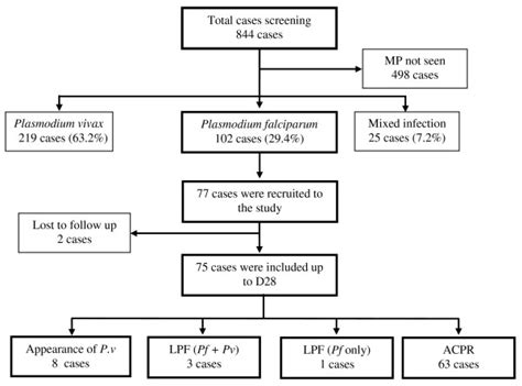 Screening Algorithm Of The Study Cases Mp Malaria Parasite